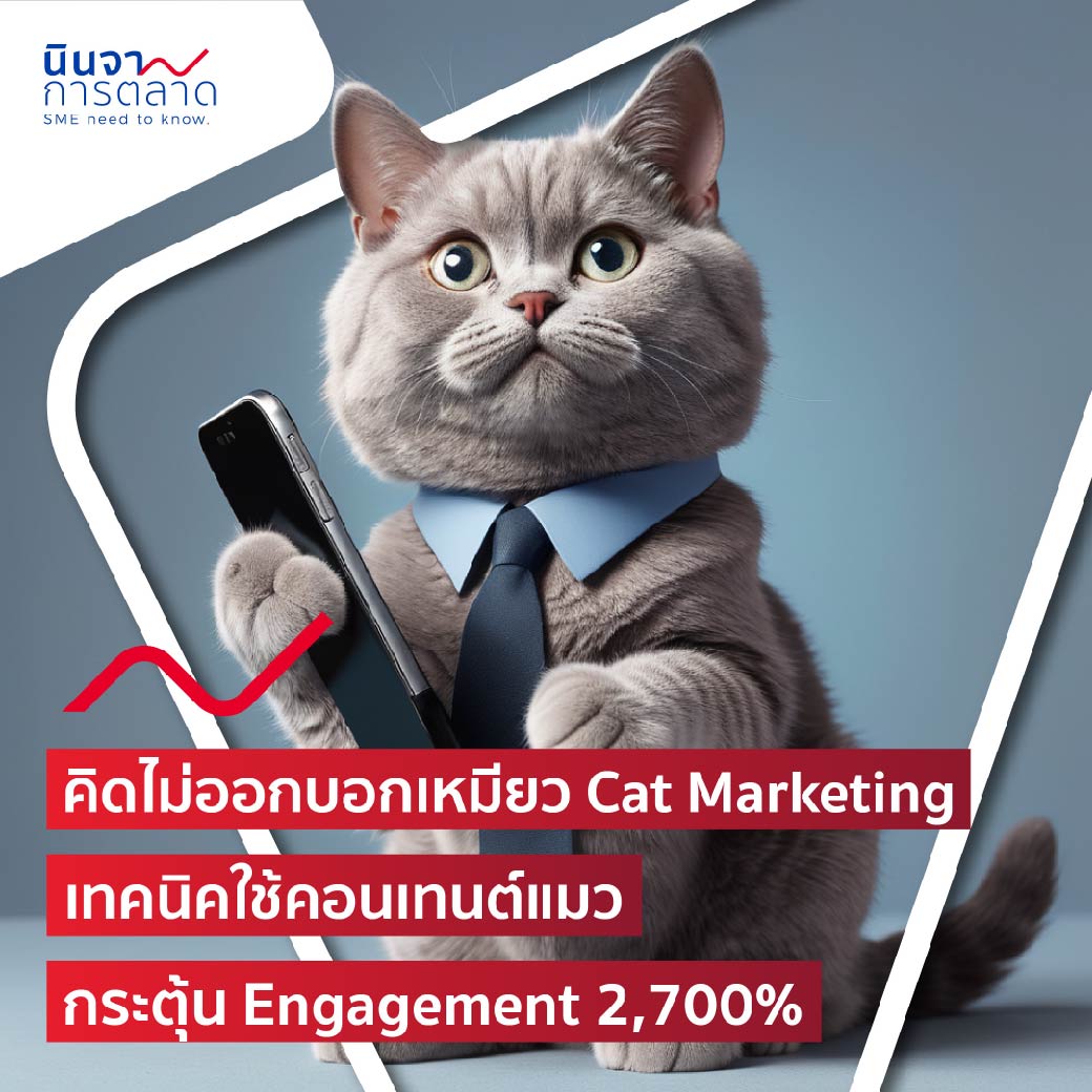 คิดไม่ออกบอกเหมียว Cat Marketing เทคนิคใช้คอนเทนต์แมว กระตุ้น ...